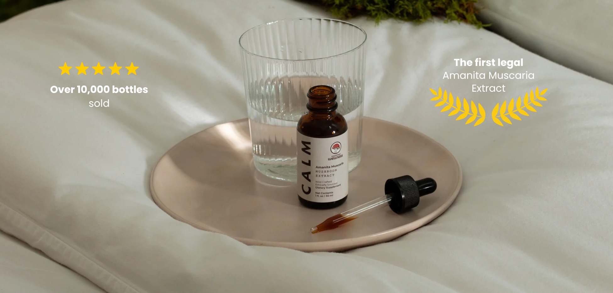 Psyched Wellness Store | Legal Amanita Muscaria Products