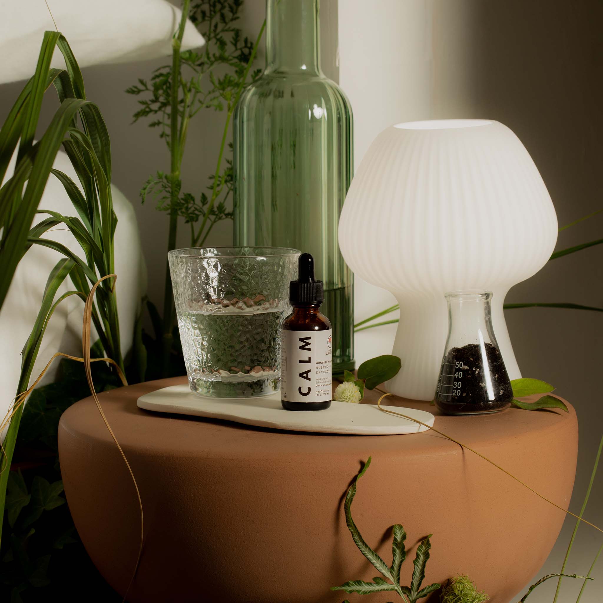 Psyched Wellness Store | Legal Amanita Muscaria Products